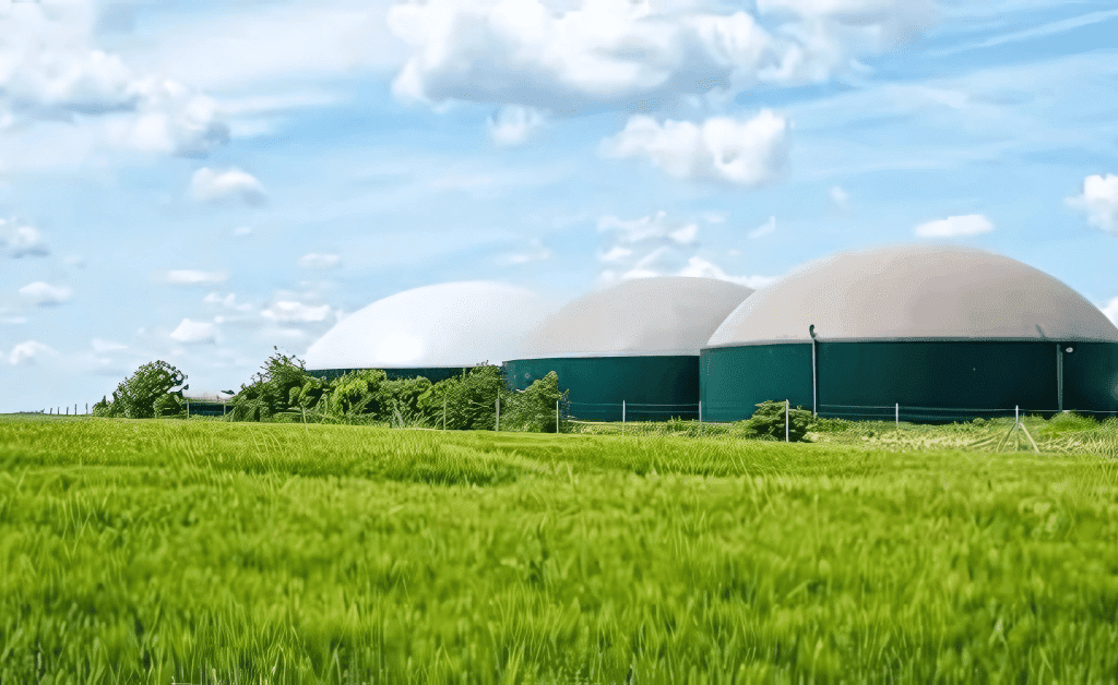 Biogas Analyzer - Ambetronics